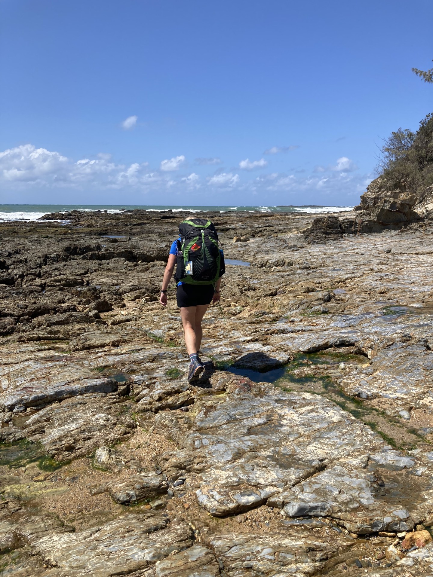 Yuraygir Coastal Walk – tommy the travelling turtle